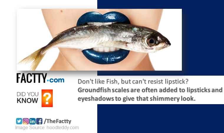 Interesting & Amazing Facts Behind Cosmetics Invention and Makeup ...